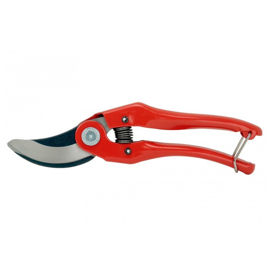 Bahco BCL23 Professional Lithium-Ion Battery Powered Secateurs – Garden ...